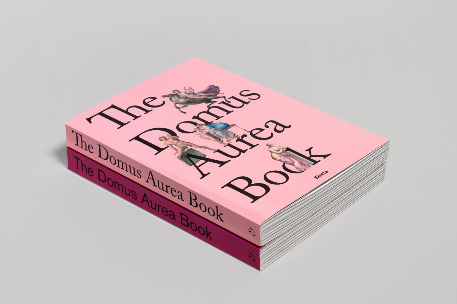 The Domus Aurea Book — TassinariVetta